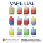 ELFBAR TE6000 (US Version) Disposable Vape 50mg/5% in Dubai UAE
